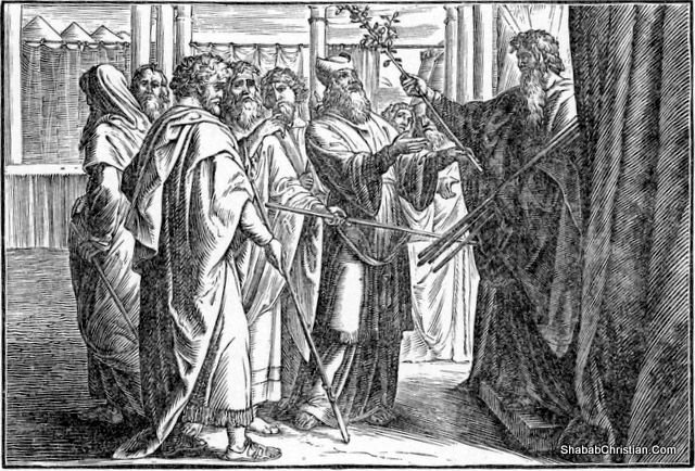 The Cross of Jesus is the Rod of Aaron | SEEKING JESUS